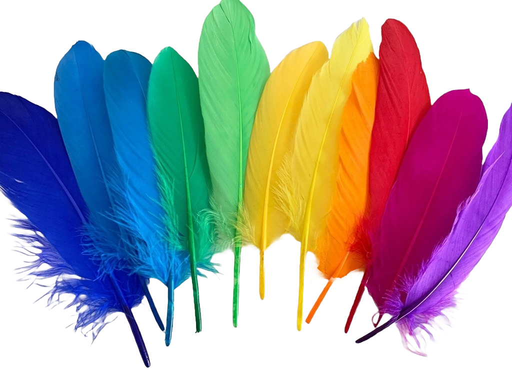 Feathers - Assorted 50 pack | The TeamKids Shop